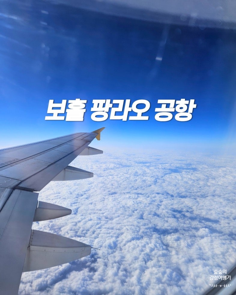 필리핀 보홀 공항 팡라오 공항세 픽업 출국 면세점x 로얄에어 인천 항공권 7시간 지연 후기 네이버 블로그
