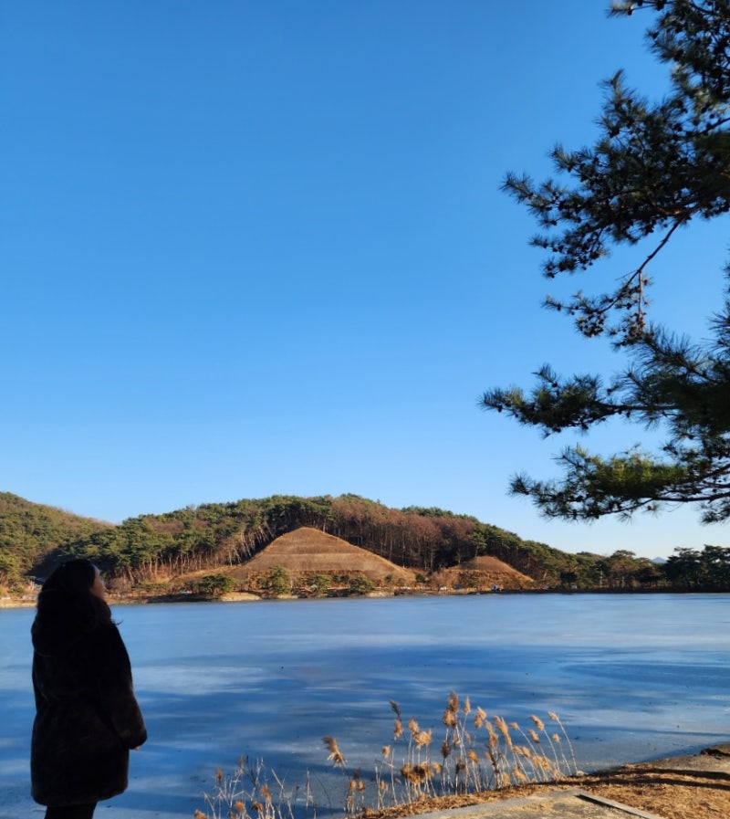 충북 제천 의림지 용추폭포 유리전망대 주변 역사박물관 파크랜드 겨울 가볼만한곳 네이버 블로그