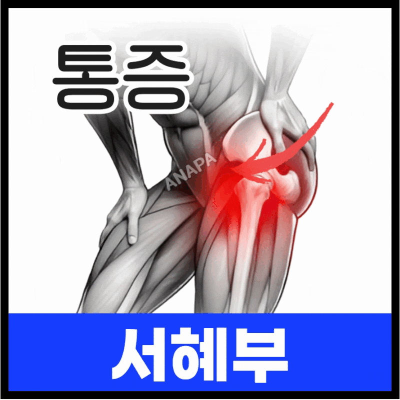 네이버 인플루언서