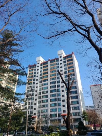 야탑역하면 떠오르는 장미마을 동부 코오롱 임장 네이버 블로그