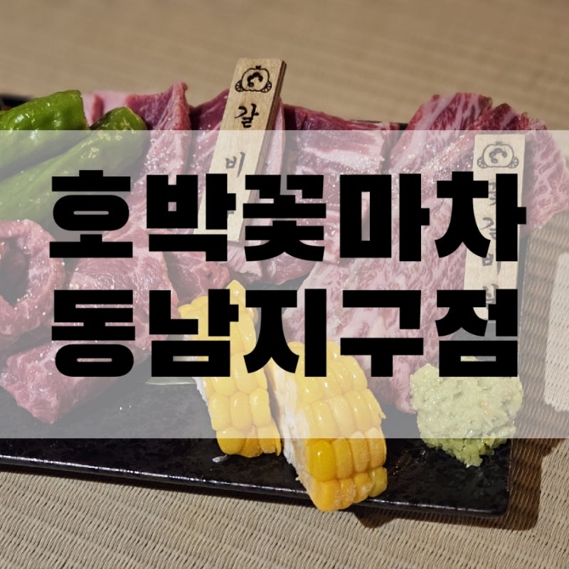 청주 동남지구 맛집 호박꽃마차 동남지구점 다녀 온 후기 야끼니꾸 맛집 분위기 좋은 소고기집 네이버 블로그