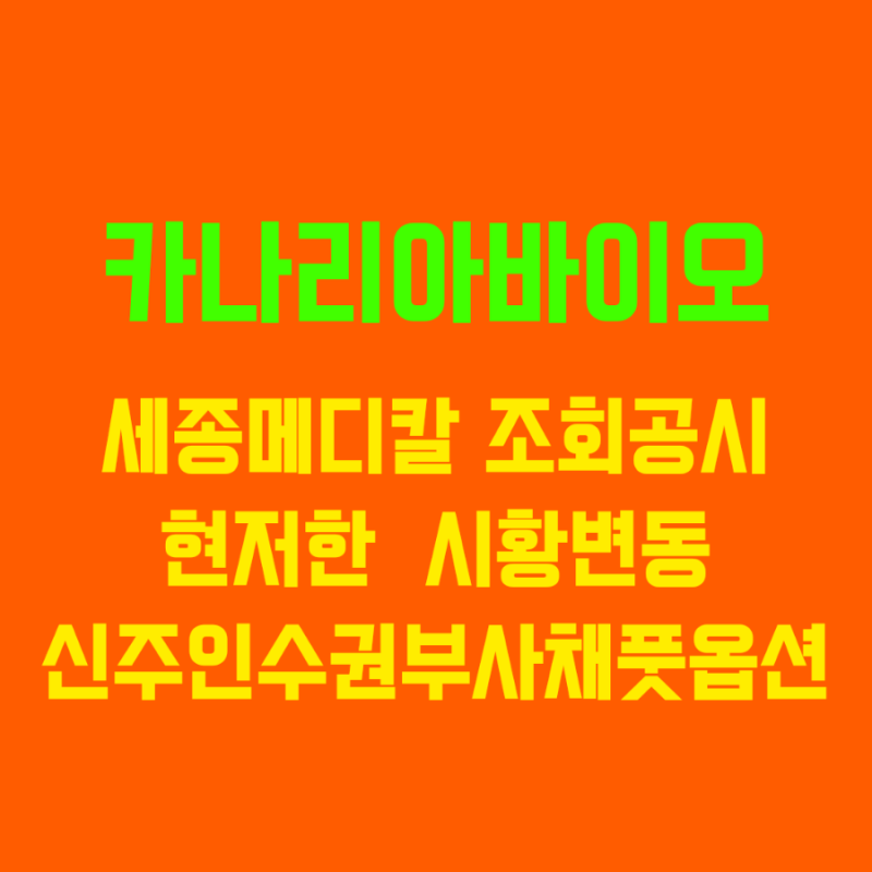 세종메디칼 카나리아바이오 조회공시 현저한 시황변동 신주인수권부사채 만기 풋옵션 네이버 블로그