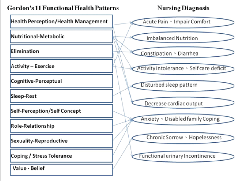 4. 간호 사정-간호모델을 통한 자료조직(Gordon,Orem,Roy,NANDA Ⅱ) : 네이버 블로그