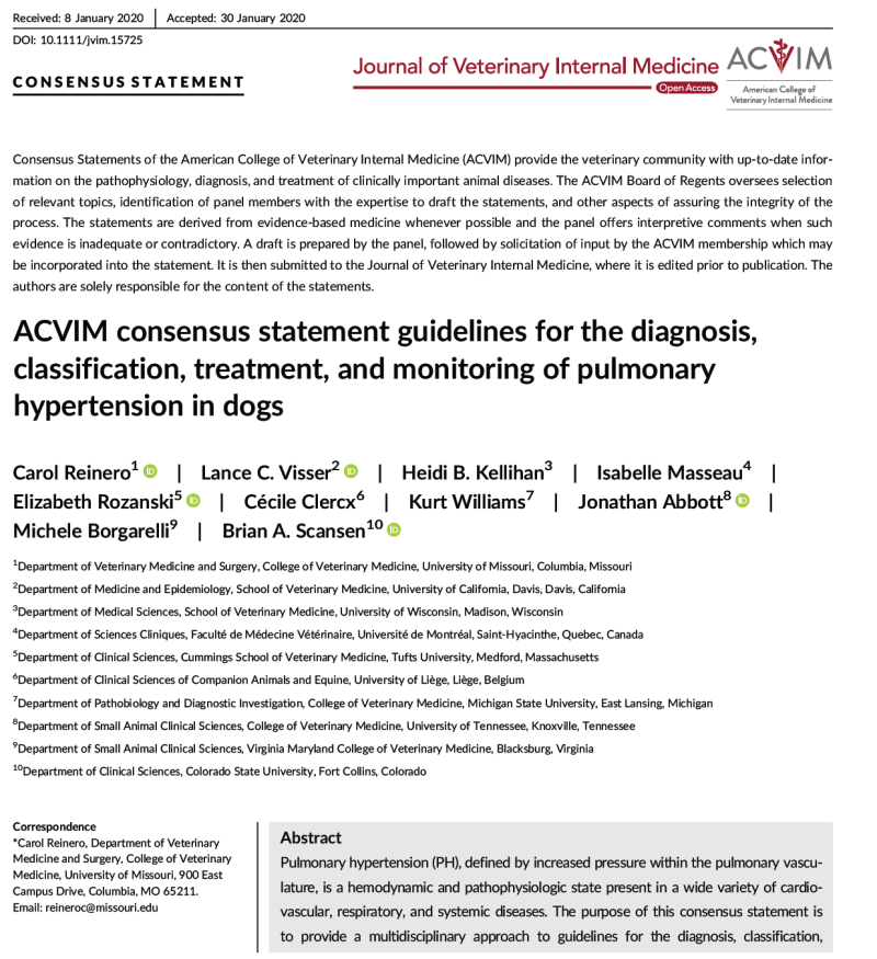 2020_ACVIM consensus statement guidelines for pulmonary hypertension in dogs : 네이버 블로그