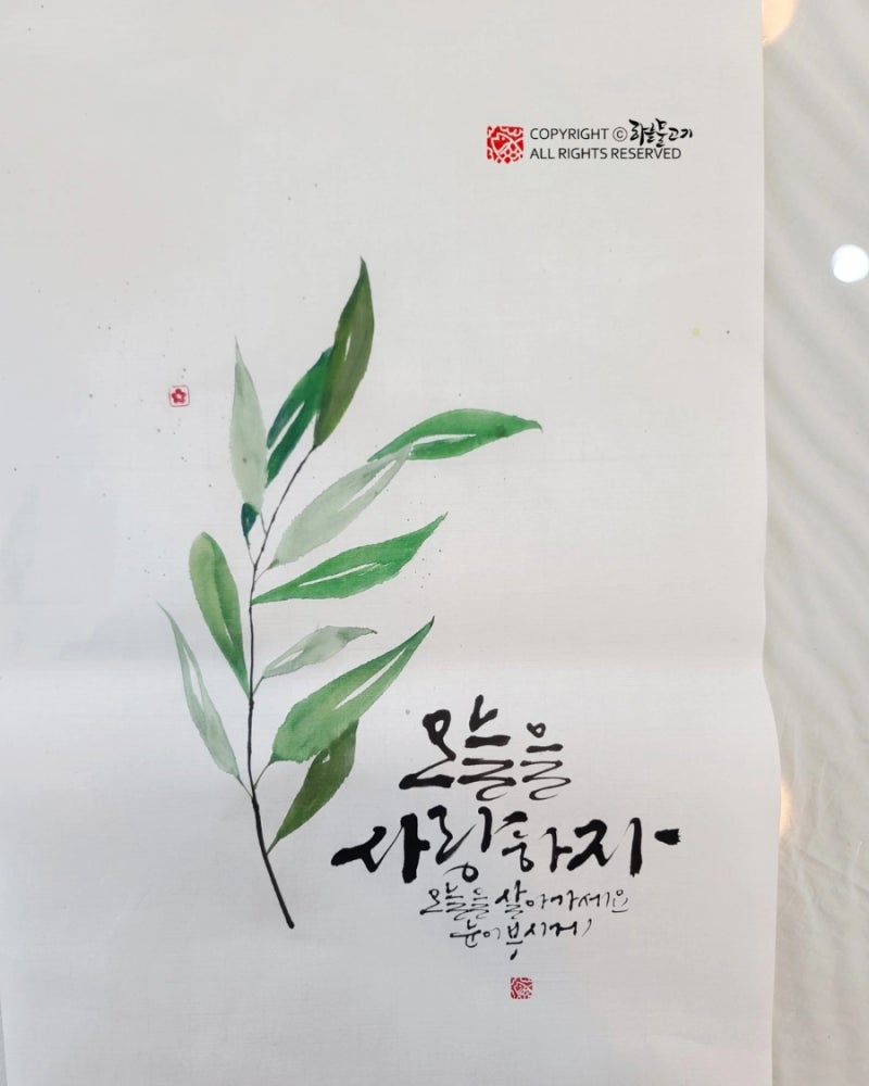 대전캘리그라피 하늘물고기 에서 단계별로 차근차근 배워보세요 네이버 블로그