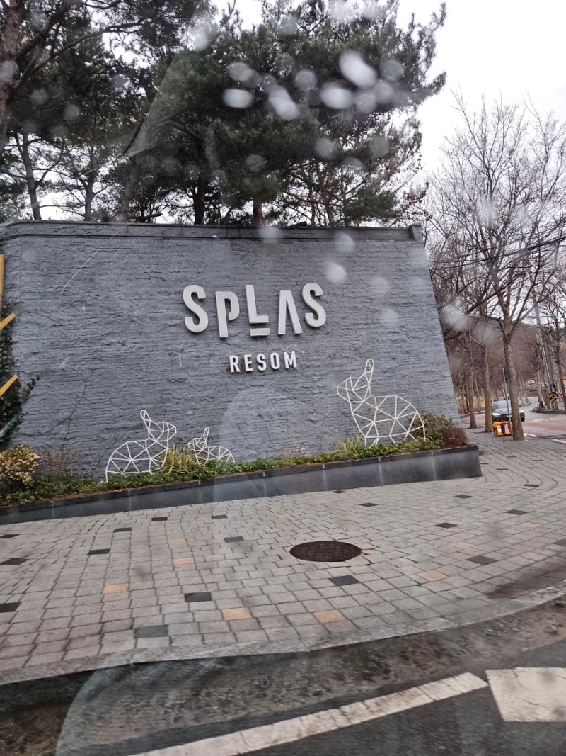 겨울온천여행 덕산 스플라스리솜 객실후기스테이타워 S20 클린b 장단점구비물품준비물 네이버 블로그