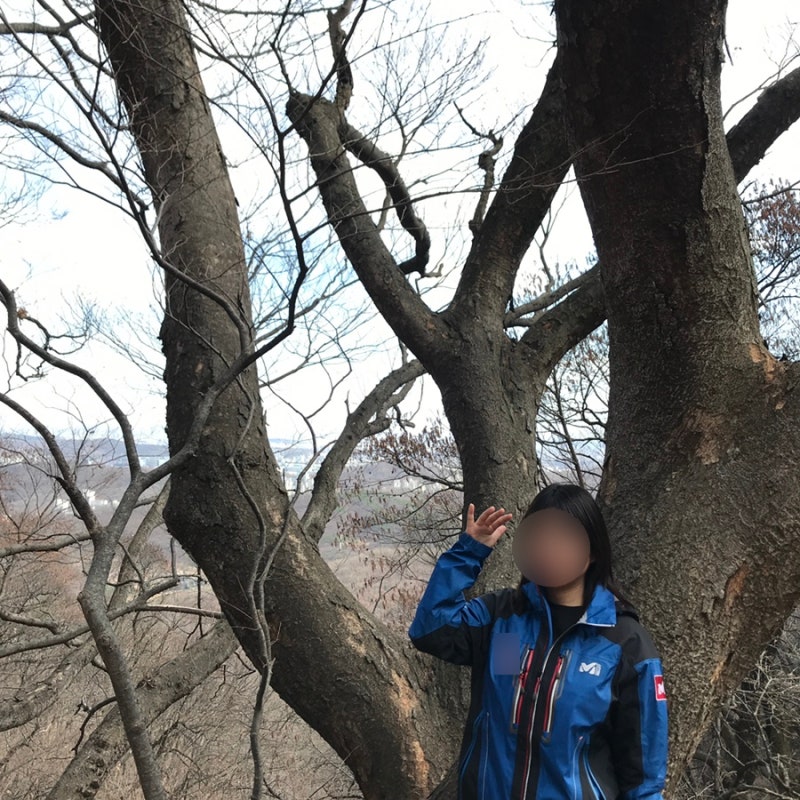 경기도 가볼만한산 수리산 도립공원 등산코스 추천 수리산역 슬기봉 태을봉 네이버 블로그