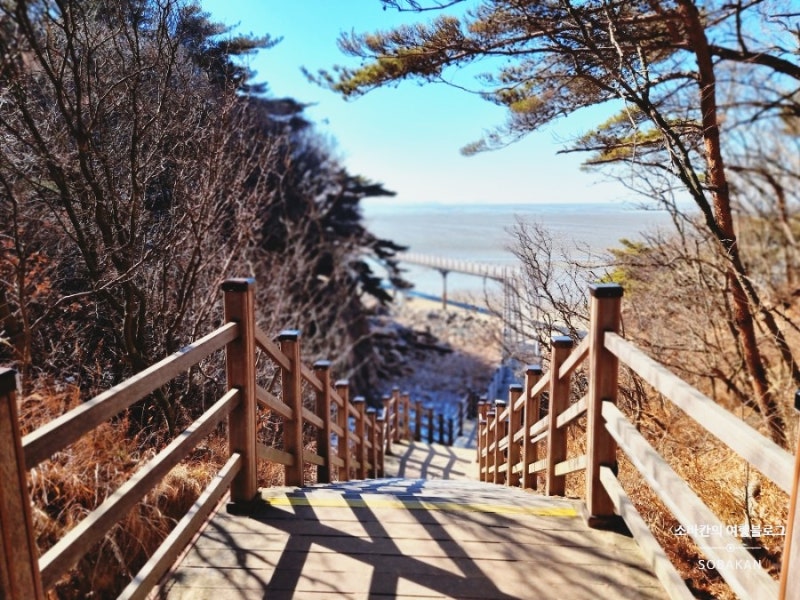 인천 무의도 여행 하나개해수욕장 해상관광탐방로 가는법 지도 가볼만한곳 네이버 블로그