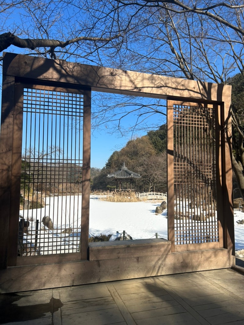 가평 아침고요수목원 겨울아침산책힐링 제대로🍃 네이버 블로그