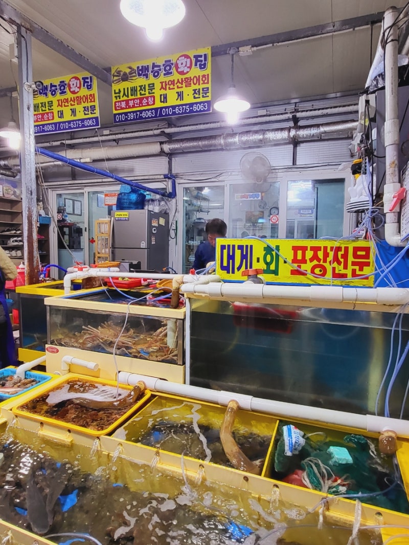 속초롯데리조트 주변 대게맛집 손질도 다 해주는 외옹치항 백승호횟집 네이버 블로그