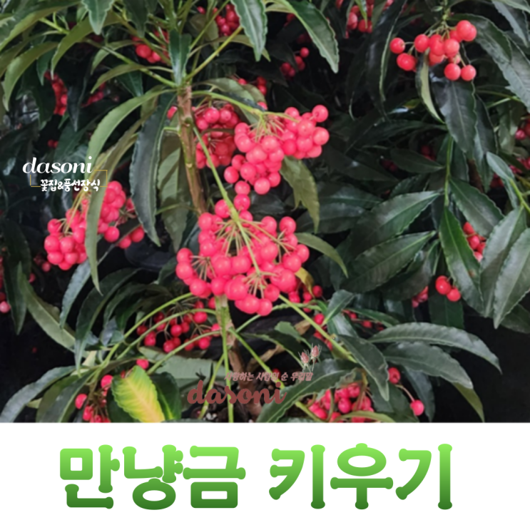 블로그 챌린지 100일 간의 여정을 끝내며