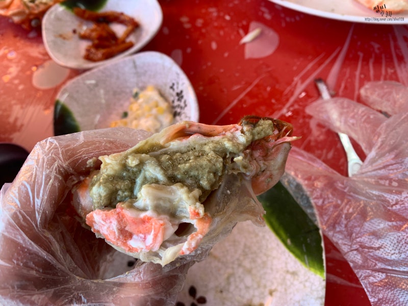 속초 홍게 맛집 승진호 홍게 무한리필 아는 사람들만 간다는 찐맛집 네이버 블로그