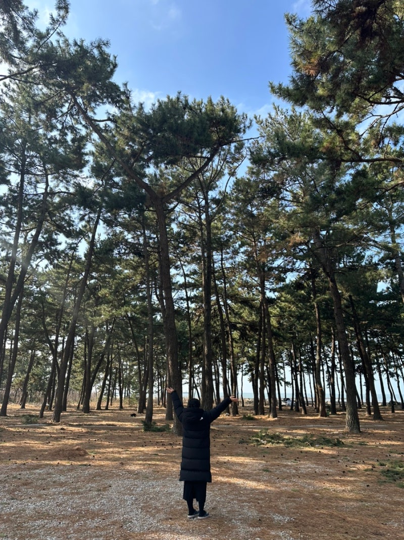 고창 구시포 노을캠핑장 예약 오션뷰 명당 2박3일 캠핑 리뷰 네이버 블로그