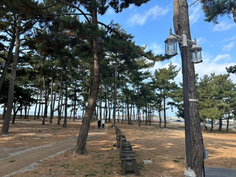 고창 구시포 노을캠핑장 예약 오션뷰 명당 2박3일 캠핑 리뷰 네이버 블로그