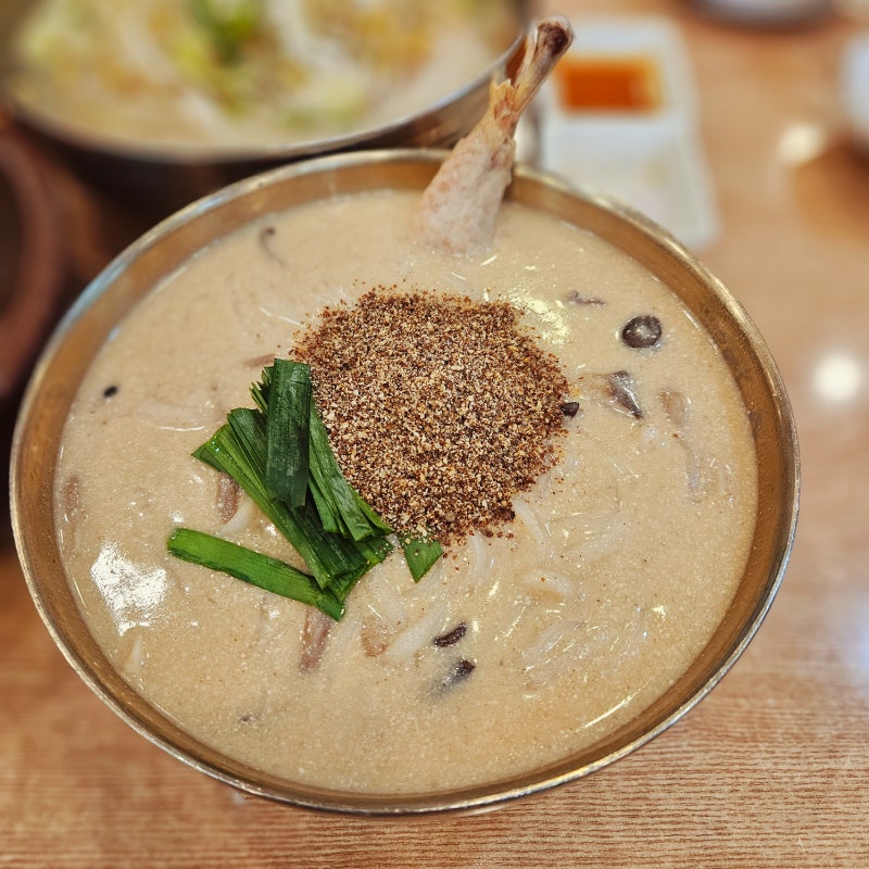 파주맛집 파주닭국수 본점 뜨끈한 닭칼국수 후기 파주닭국수 들깨닭국수 네이버 블로그