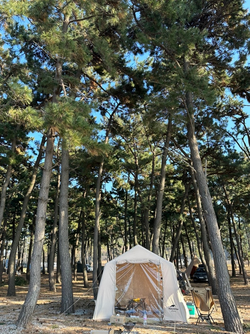 고창 구시포 노을캠핑장 예약 오션뷰 명당 2박3일 캠핑 리뷰 네이버 블로그