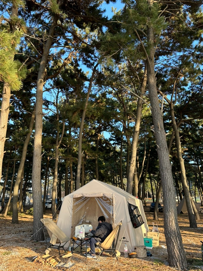 고창 구시포 노을캠핑장 예약 오션뷰 명당 2박3일 캠핑 리뷰 네이버 블로그