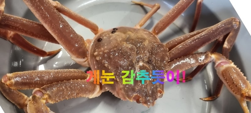 박달대게 시세 자숙 러시아박달대게 찌는법 : 네이버 블로그