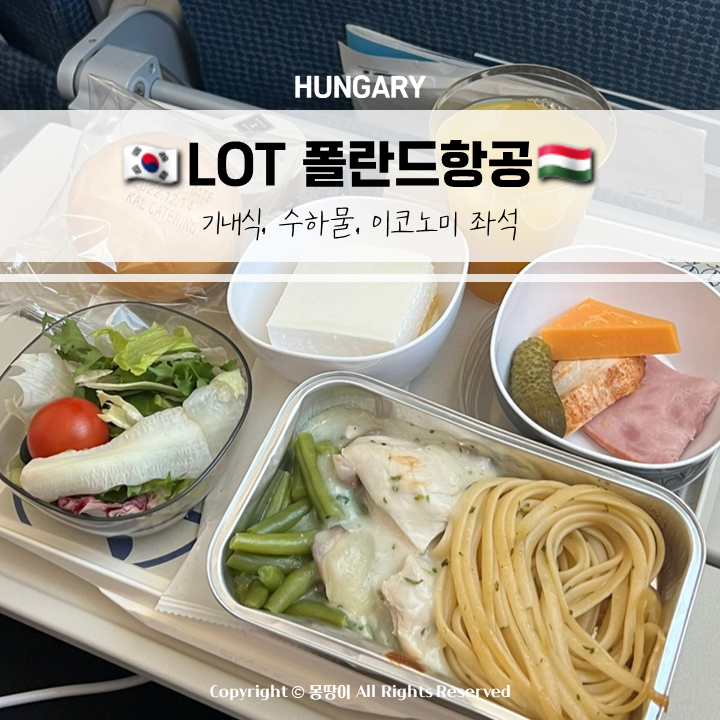 Lot 폴란드항공 기내식 수하물 좌석 후기부다페스트 비행기 네이버 블로그