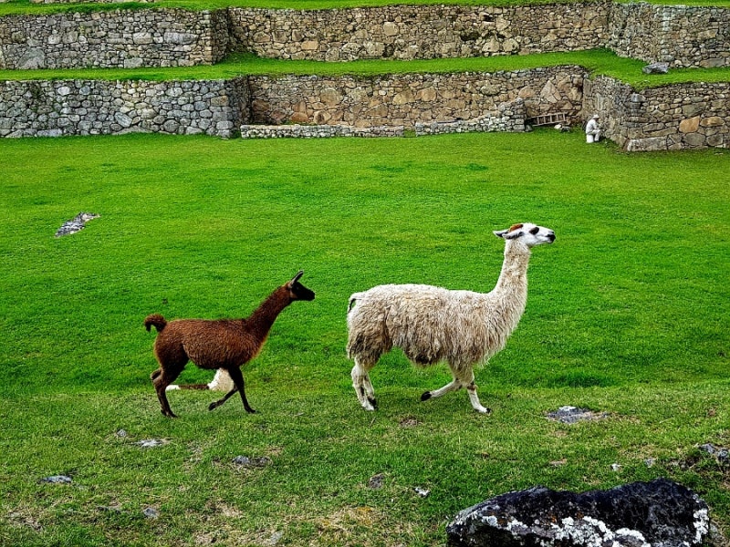 가난한 새의 기도 : 네이버 블로그