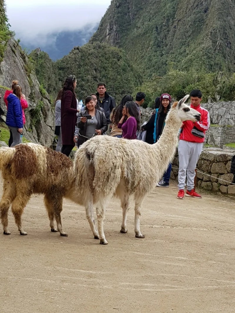 가난한 새의 기도 : 네이버 블로그