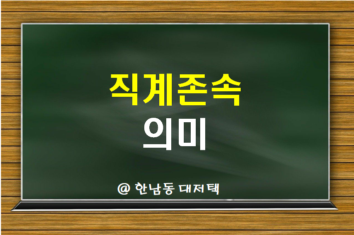 직계존속 직계비속 뜻 범위 차이 상속 순서 네이버 블로그