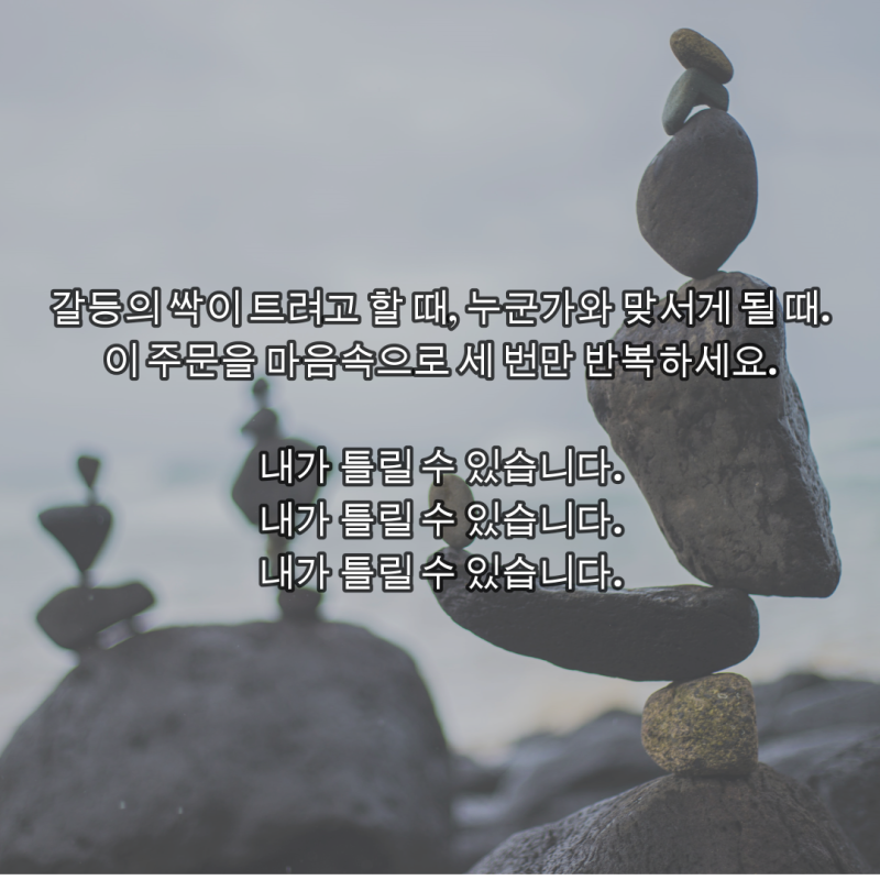 [독후감] 내가 틀릴 수도 있습니다 (비욘나티코린데블란드) : 네이버 블로그