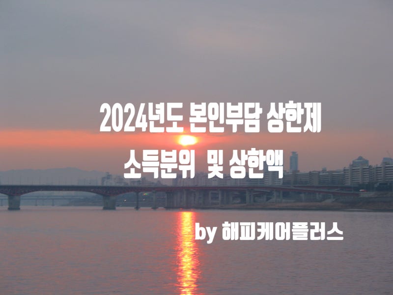2024년 본인부담 상한제 소득분위와 상한액건강보험 의료비 네이버 블로그