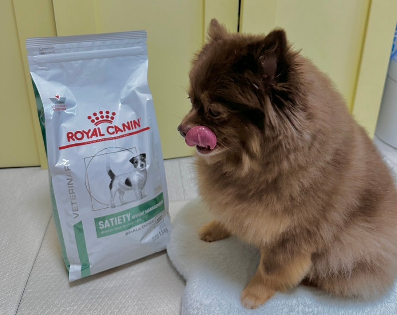 로얄캐닌강아지 다이어트 사료 포메 마롱이🐻다이어트 시작하다‘로얄캐닌 세타이어티 웨이트 매니지먼트 스몰독 네이버 블로그
