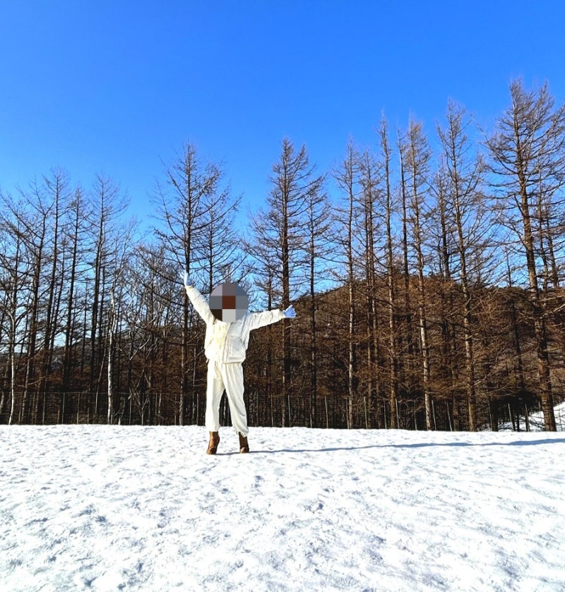 평창 대관령 양떼목장 겨울 가볼만한곳 설경 썰매 강원도 눈구경 명소 네이버 블로그