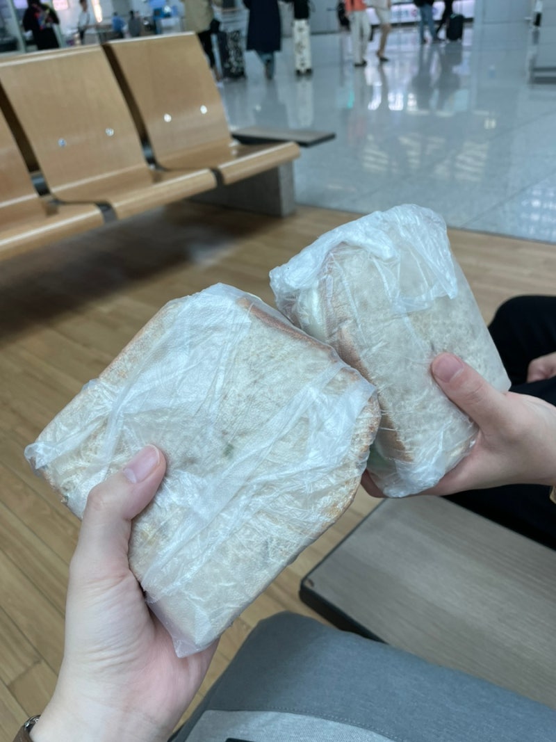 5월 홋카이도 삿포로 여행 제주항공신치토세공항솔라리아니시테츠삿포로스스키노거리하루카라멘산도리아샌드위치홋카이도편의점