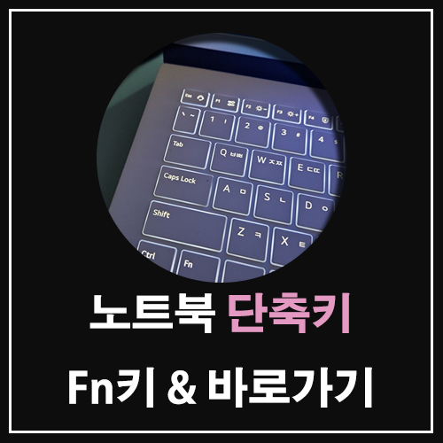 엘지 그램(LG Gram) 노트북 Fn 바로가기 단축키 알아보기 : 네이버 블로그