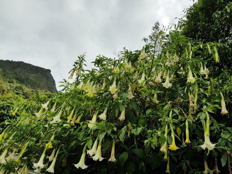 가난한 새의 기도 : 네이버 블로그