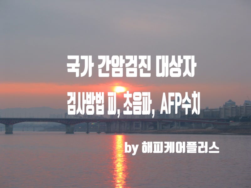 국가 건강 검진 간암 검사 대상자와 검사 방법 고위험군 피표지자 Afp수치 초음파 네이버 블로그