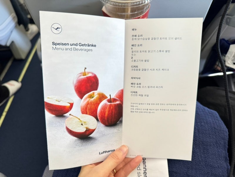 인천 스페인 루프트한자 독일 경유 후기lh713 프랑크푸르트lh718 뮌헨 경유 네이버 블로그
