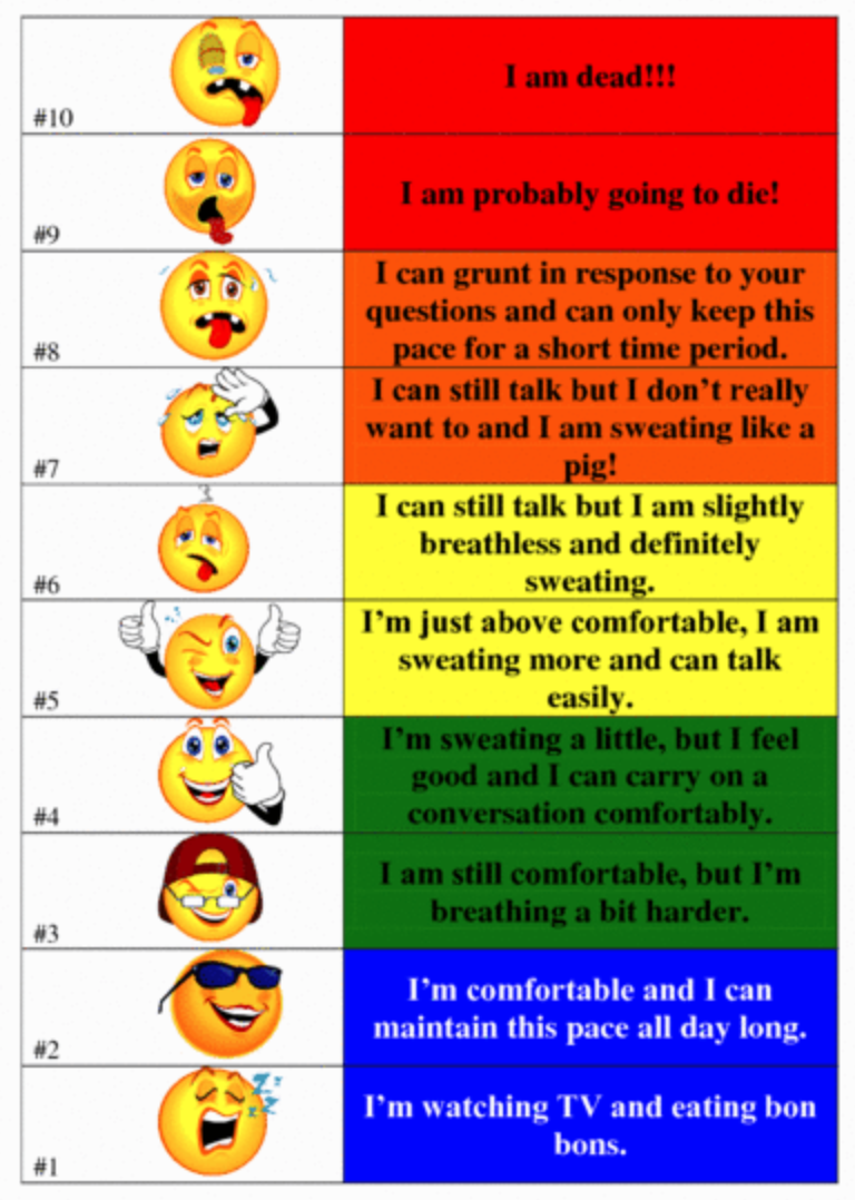 Borg scale, RPE (Rating of Perceived Exertion) : 네이버 블로그