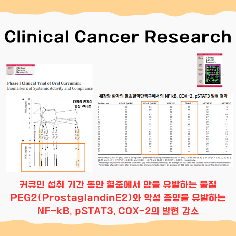 면역강화주사 종류 및 면역 건강 성분 커큐민 알아보기 네이버 블로그