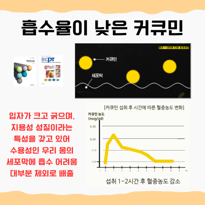 면역강화주사 종류 및 면역 건강 성분 커큐민 알아보기 네이버 블로그