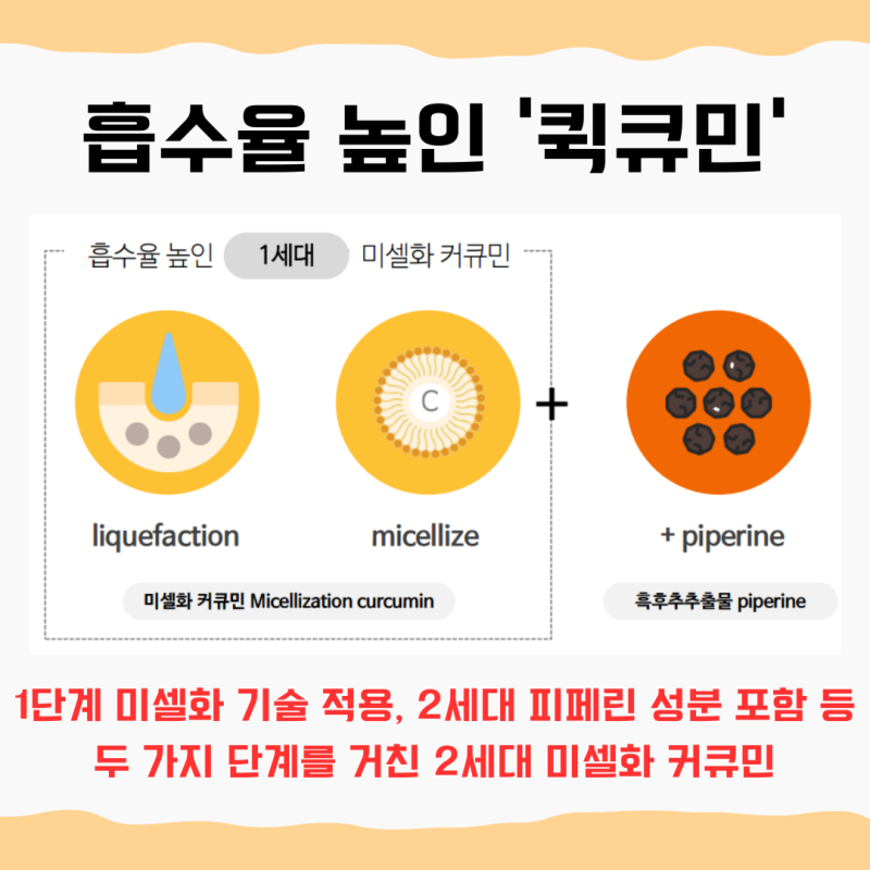 면역강화주사 종류 및 면역 건강 성분 커큐민 알아보기 네이버 블로그