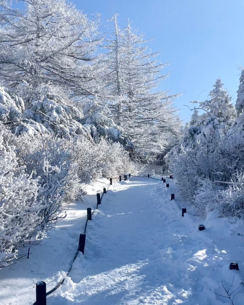 겨울등산 ️ / 전북 남원 지리산 바래봉 설산 등산코스 + 남원맛집 : 네이버 블로그