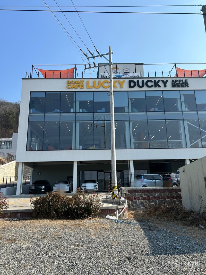 대구 칠곡 러키더키 아쿠아리움 식물원 대형 이색 카페 네이버 블로그
