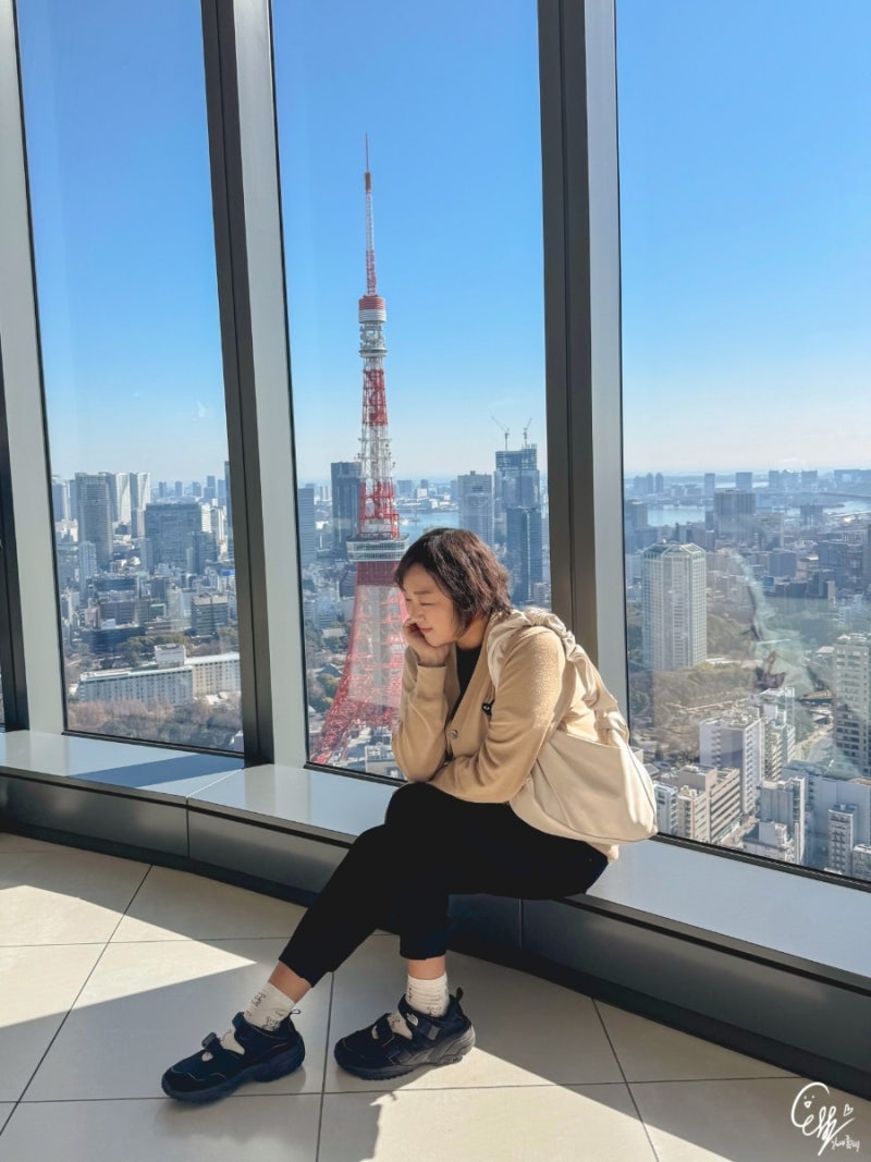 일본 도쿄 여행 일정 4박5일 코스 + 메트로패스 구매 72시간 지하철 환승 JR : 네이버 블로그