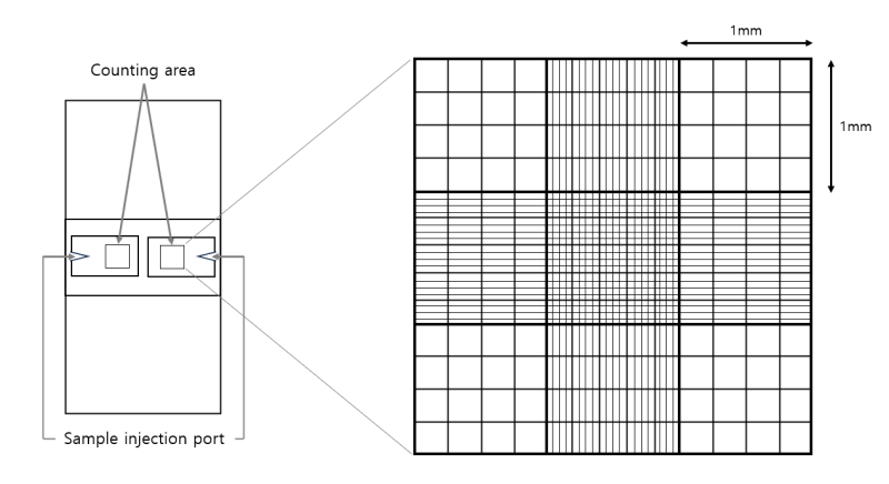 [기초다지기] Cell counting & hemocytometer (세포사멸 & 세포증식 & 세포 수 계산) : 네이버 블로그