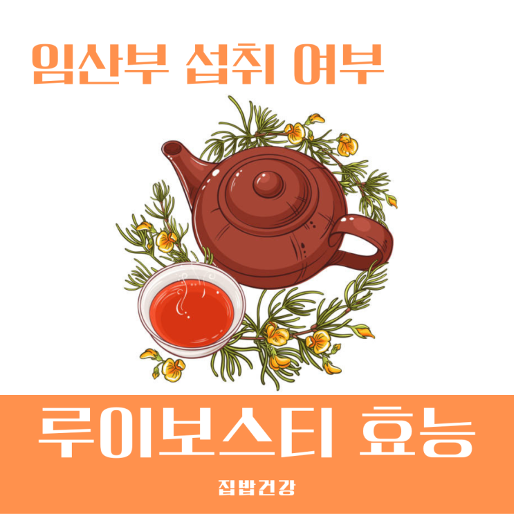 루이보스티 효능 및 부작용과 임산부 섭취 여부