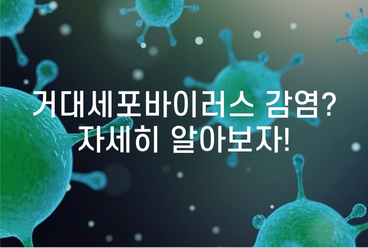 대구수성구거대세포바이러스한의원 거대 세포 바이러스 감염 한미르한의원 한방치료법