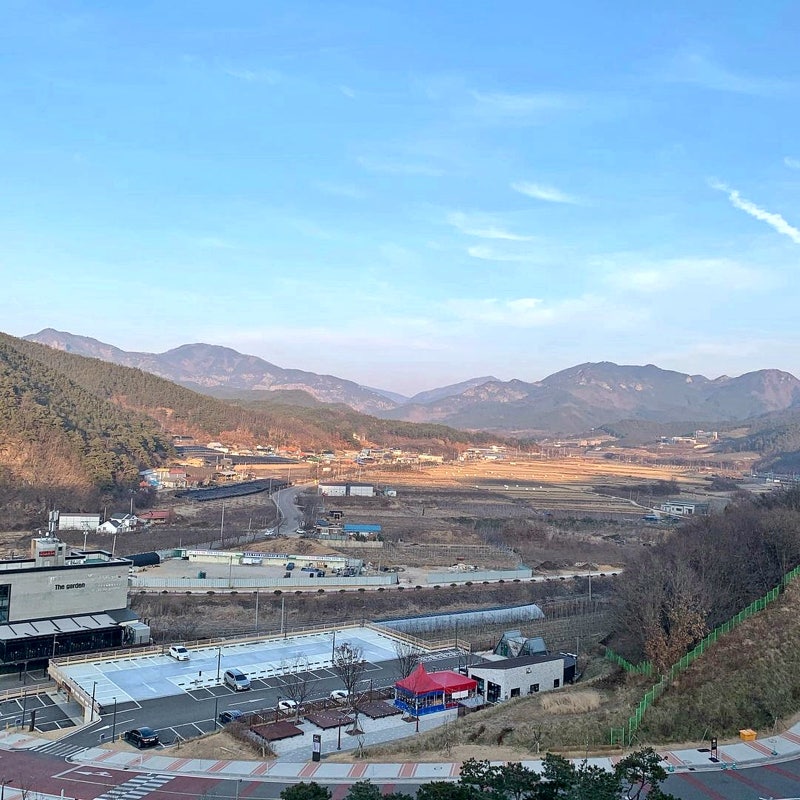 청송 소노벨 숙소 솔샘온천 가격 할인 노천탕 수달래 한식당 사과 불고기 피자 닭강정 네이버 블로그