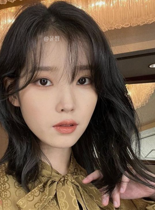 네이버 인플루언서