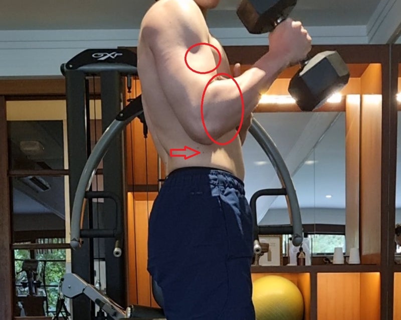 팔 상완이두근 운동 해머컬 자세feat 일반 덤벨컬과 차이 네이버 블로그