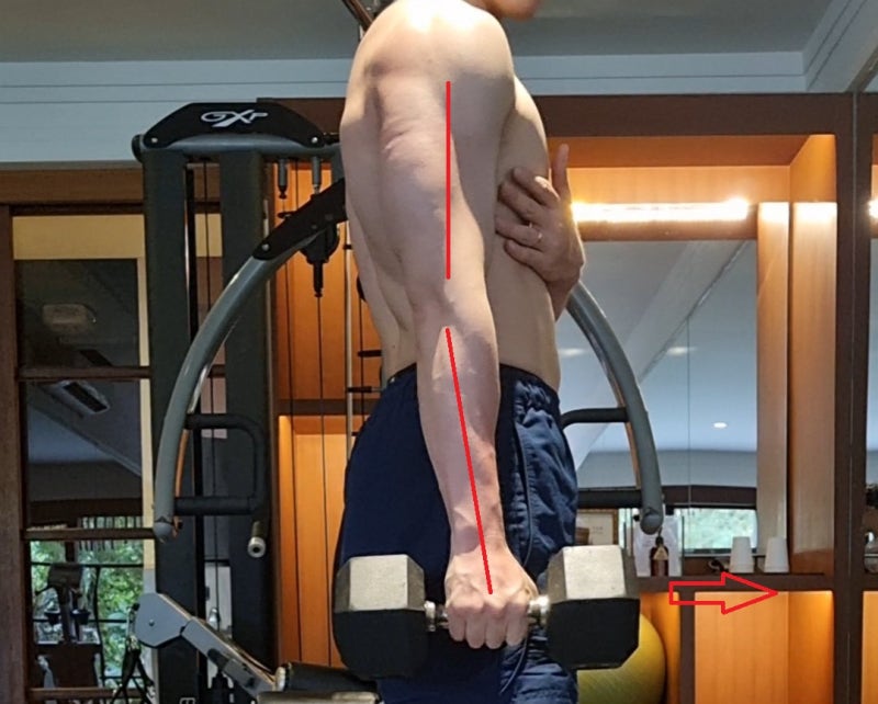 팔 상완이두근 운동 해머컬 자세feat 일반 덤벨컬과 차이 네이버 블로그