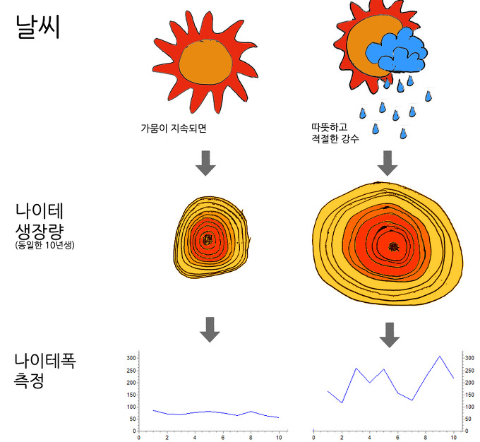 광휘고 충현고 진성고 소하고 2025학년도 수능특강 독서 ‘연륜 연대법 내용정리와 지문분석 네이버 블로그